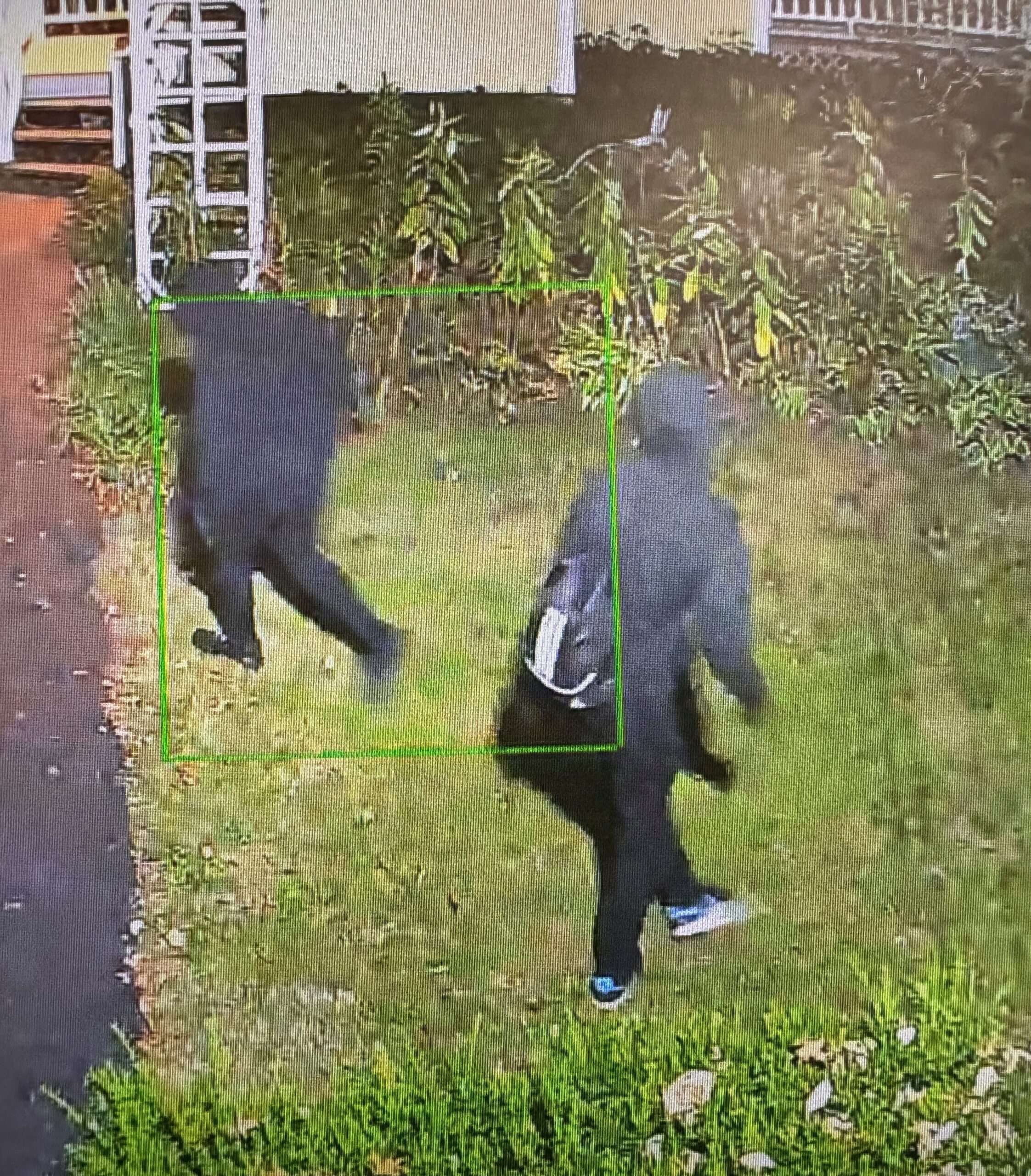 Police Seeking Help Identifying Two Allegedly Involved In Car Thefts